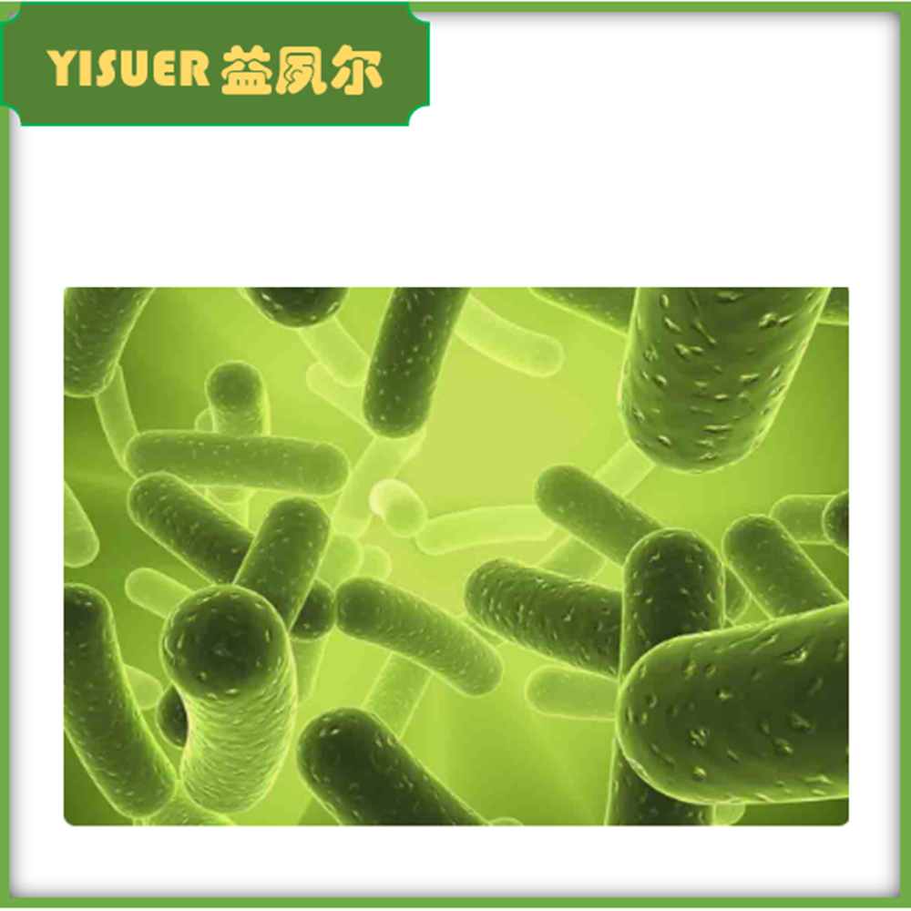 Superior Probiotic: Lactobacillus rhamnosus | Clinically Studied - esubio