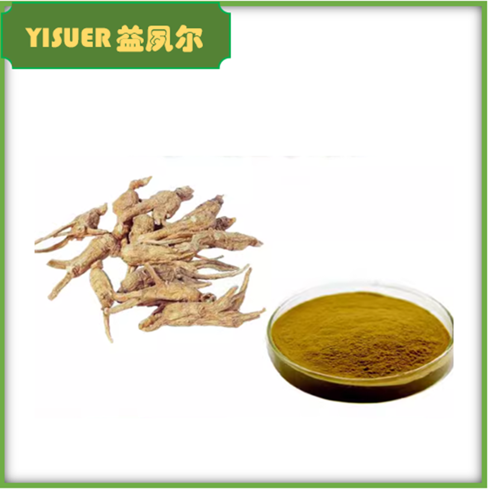 Angelica Root Extract Supplier | Angelica sinensis Root Extract