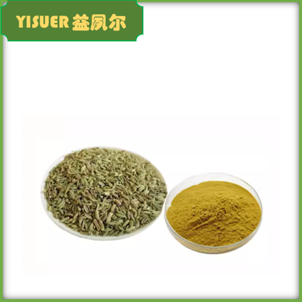 Fennel Extract Supplier | Standardized Botanical Ingredient